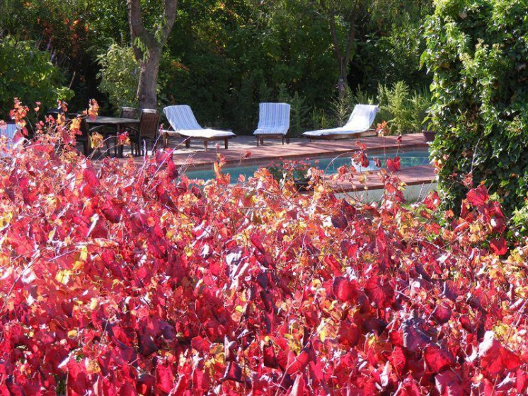 The Port Wine Guest House , Calitzdorp Review | The Hotel Guru
