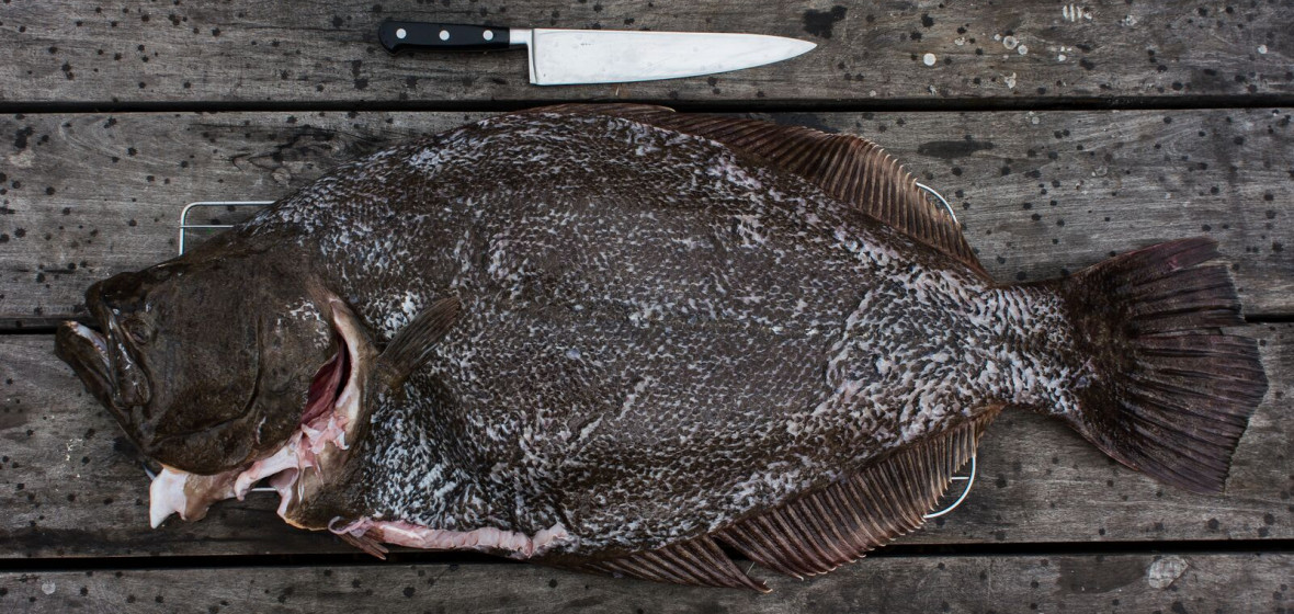 El Garzon, Garzon Review | The Hotel Guru