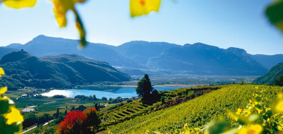 Villa Weingarten, South Tyrol | Review | The Hotel Guru