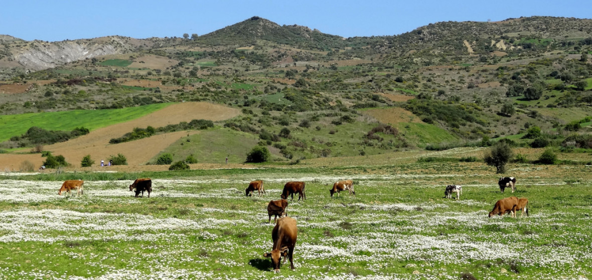 Best places to stay in Fnideq, Morocco | The Hotel Guru