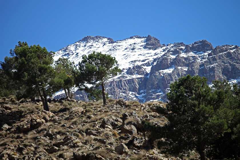 Douar Samra, High Atlas Review | The Hotel Guru
