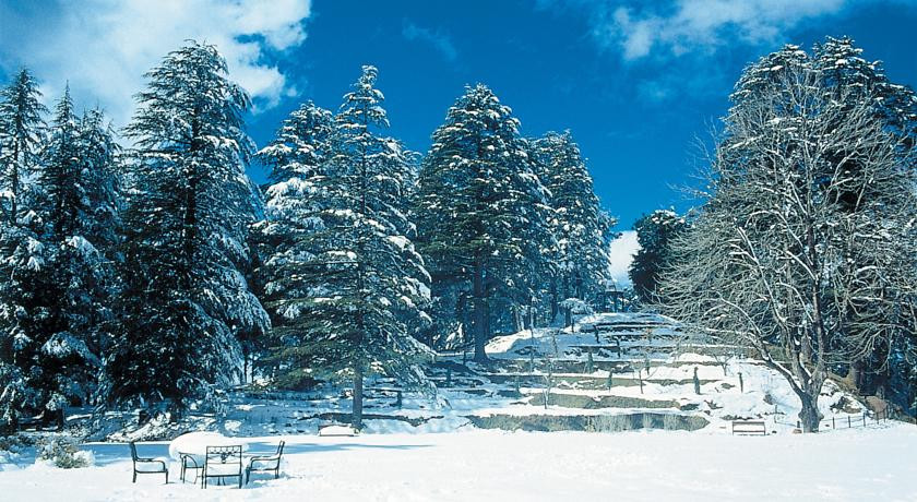 Wildflower Hall, Shimla Review | The Hotel Guru