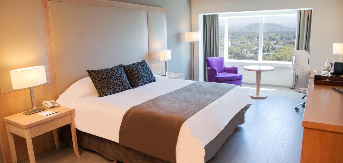Hotel Diplomatic, Mendoza Review | The Hotel Guru