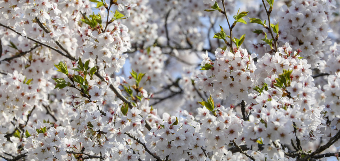 Best places to stay in Semboku, Japan | The Hotel Guru