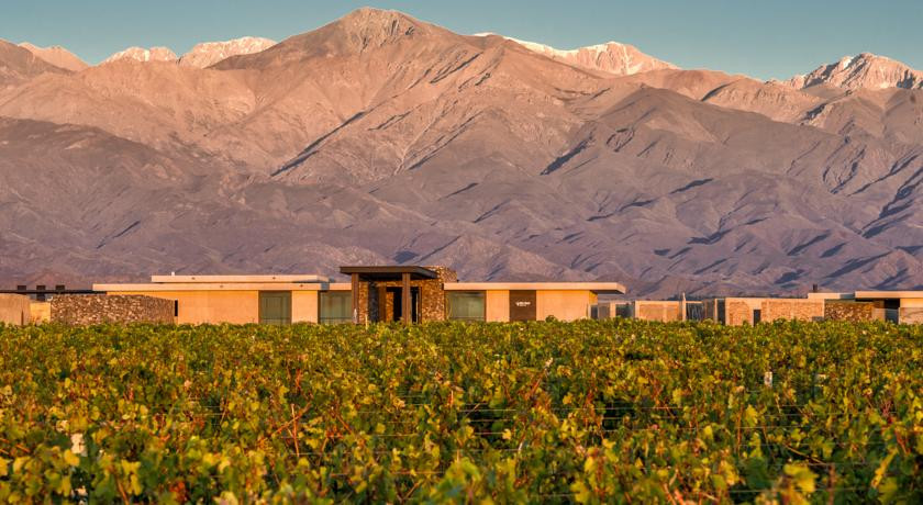 The vines Resort & Spa, Mendoza Province Review | The Hotel Guru