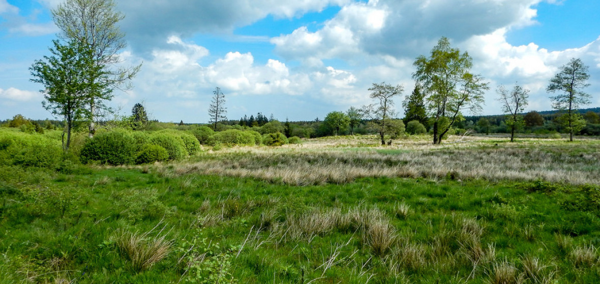 Best places to stay in Waimes, Belgium | The Hotel Guru