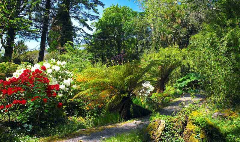 Ard Na Sidhe Country House, County Kerry Review | The Hotel Guru