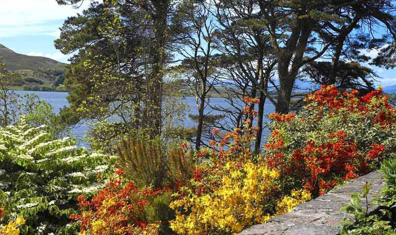 Ard Na Sidhe Country House, County Kerry Review | The Hotel Guru