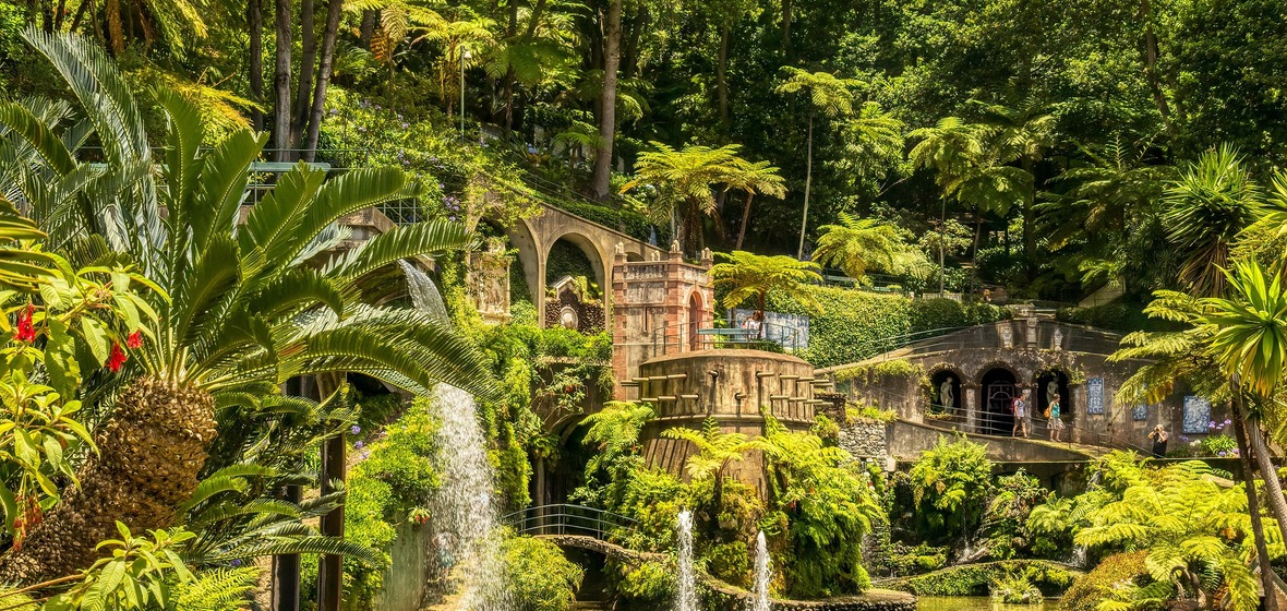 Best places to stay in Madeira, Portugal | The Hotel Guru