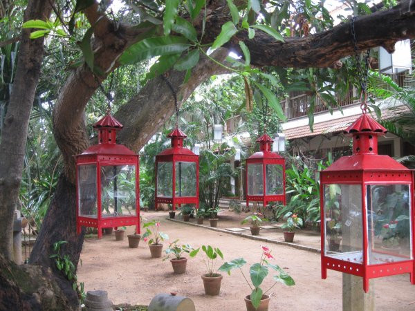 Fort House Hotel, Kochi Review | The Hotel Guru