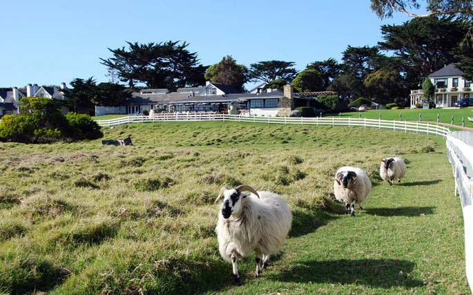 Mission Ranch, Carmel Review | The Hotel Guru