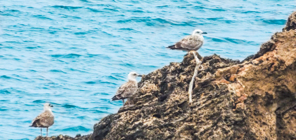 Best places to stay in Fnideq, Morocco | The Hotel Guru