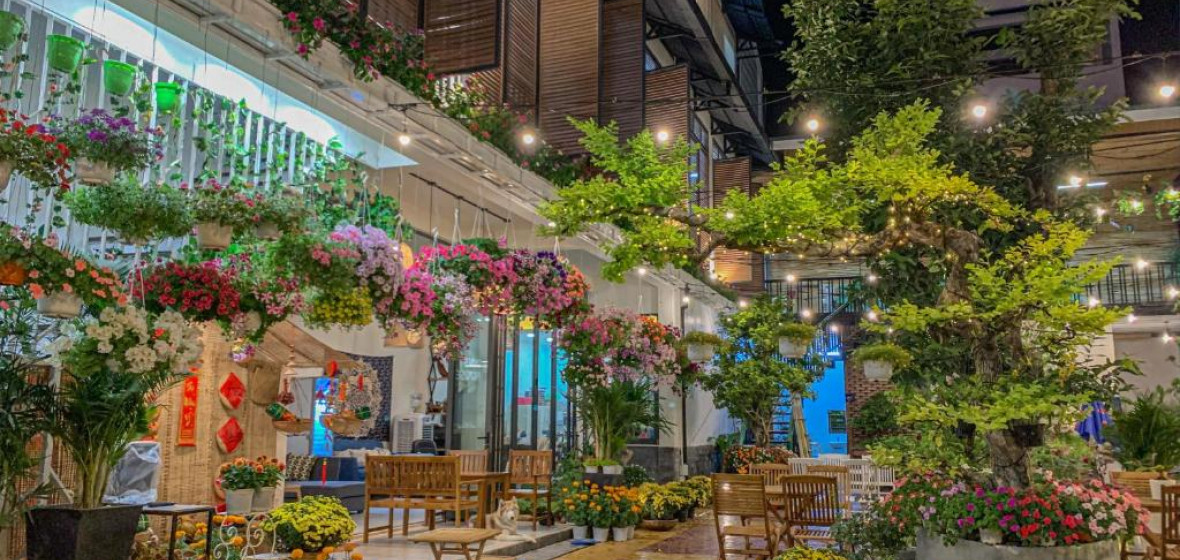 Daisy House, Tuy Hoa (Vietnam), Vietnam. Expert reviews and highlights ...