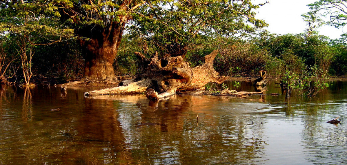 Best places to stay in Sucumbios Province, Ecuador | The Hotel Guru